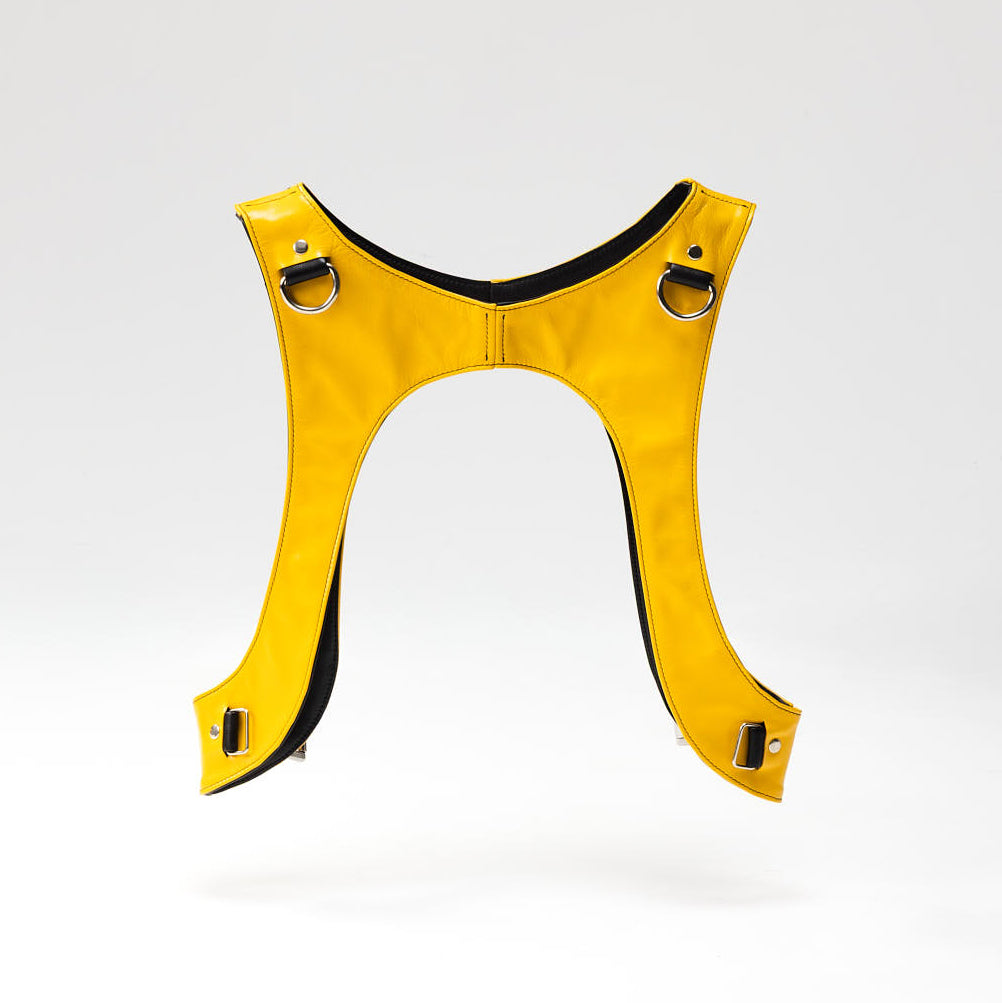 Northstar Bumblebee Chest Rig – brandanjosh.com